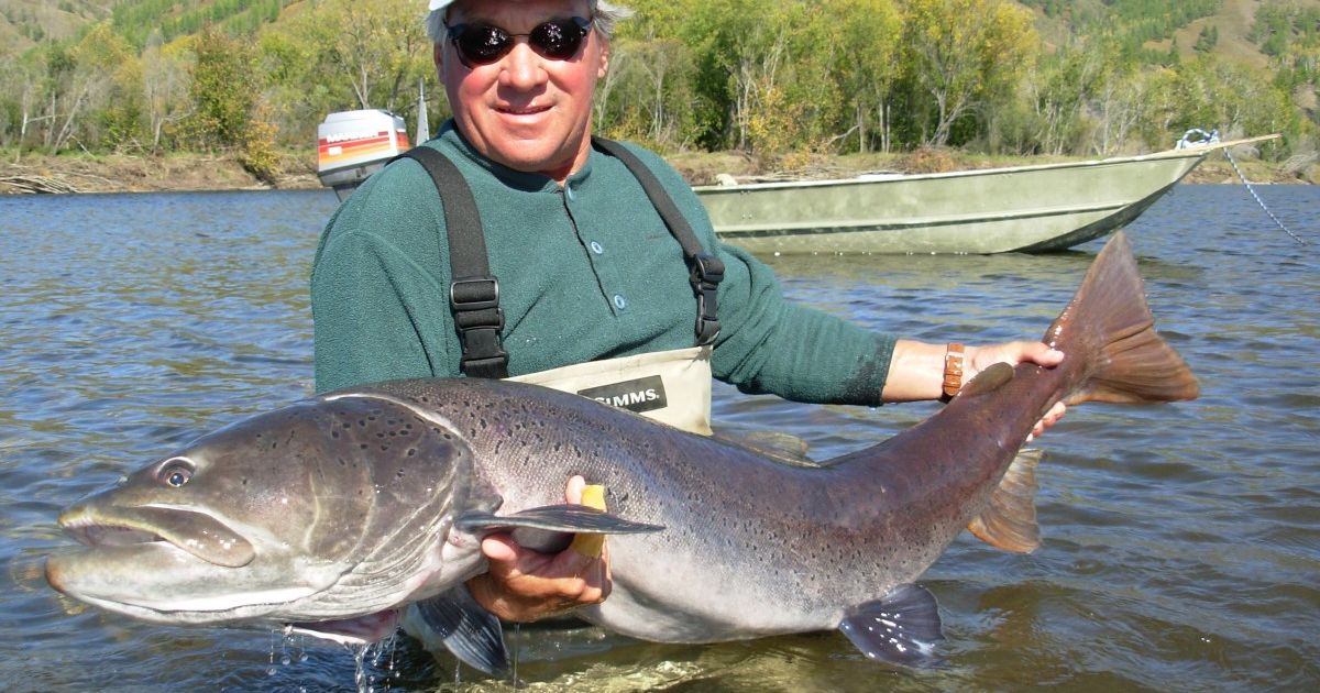 i do not need the best, but I do need the funniest : r/PCAcademy